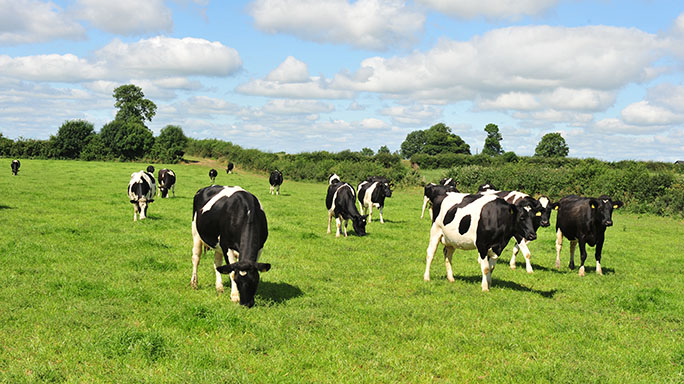 About Me – Weaver Bookkeeping Services